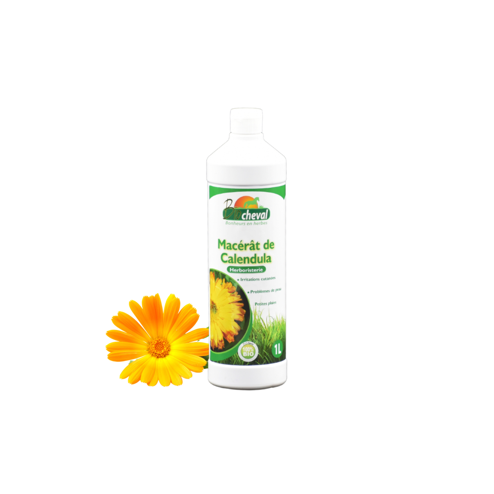 Bio Calendula macerate